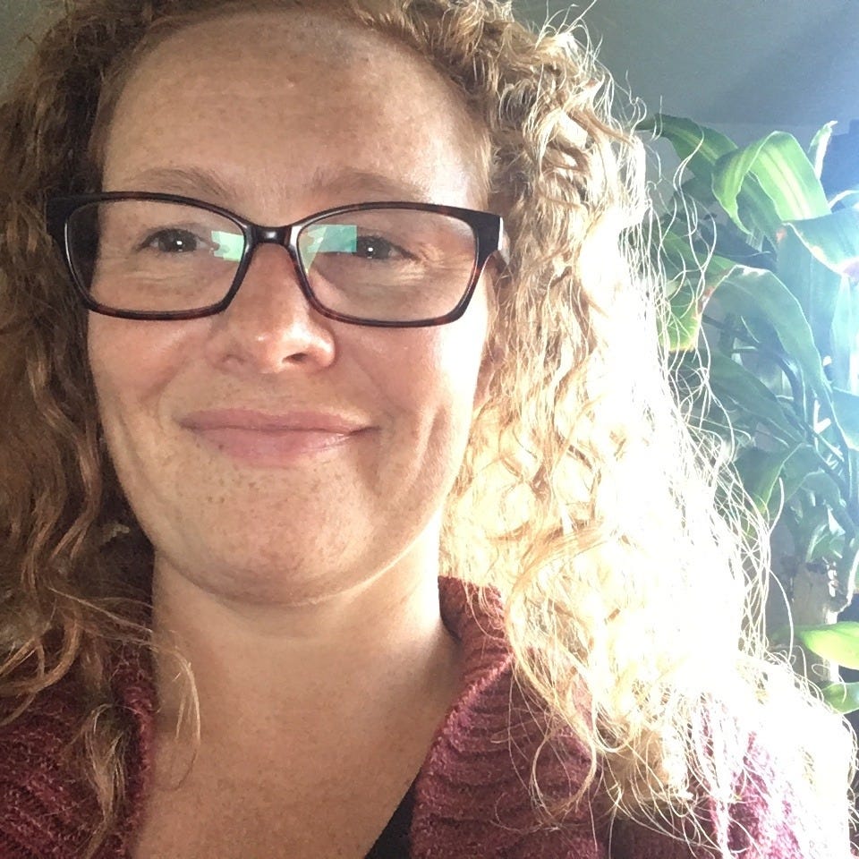 Lisa Sibbett | Substack