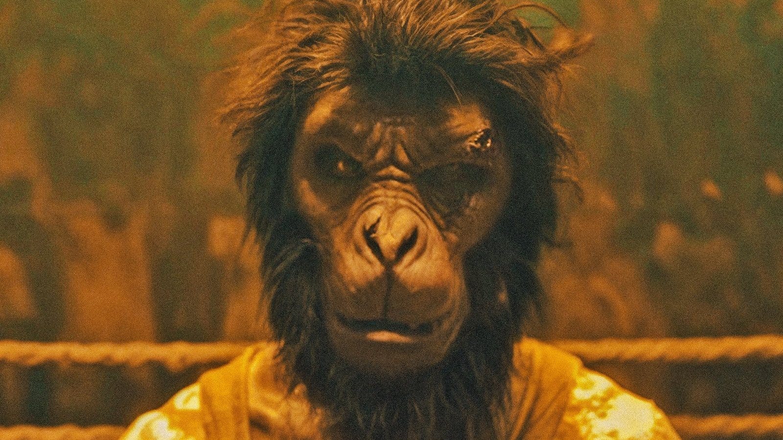 Crítica: Fúria primitiva (2024), de Dev Patel
