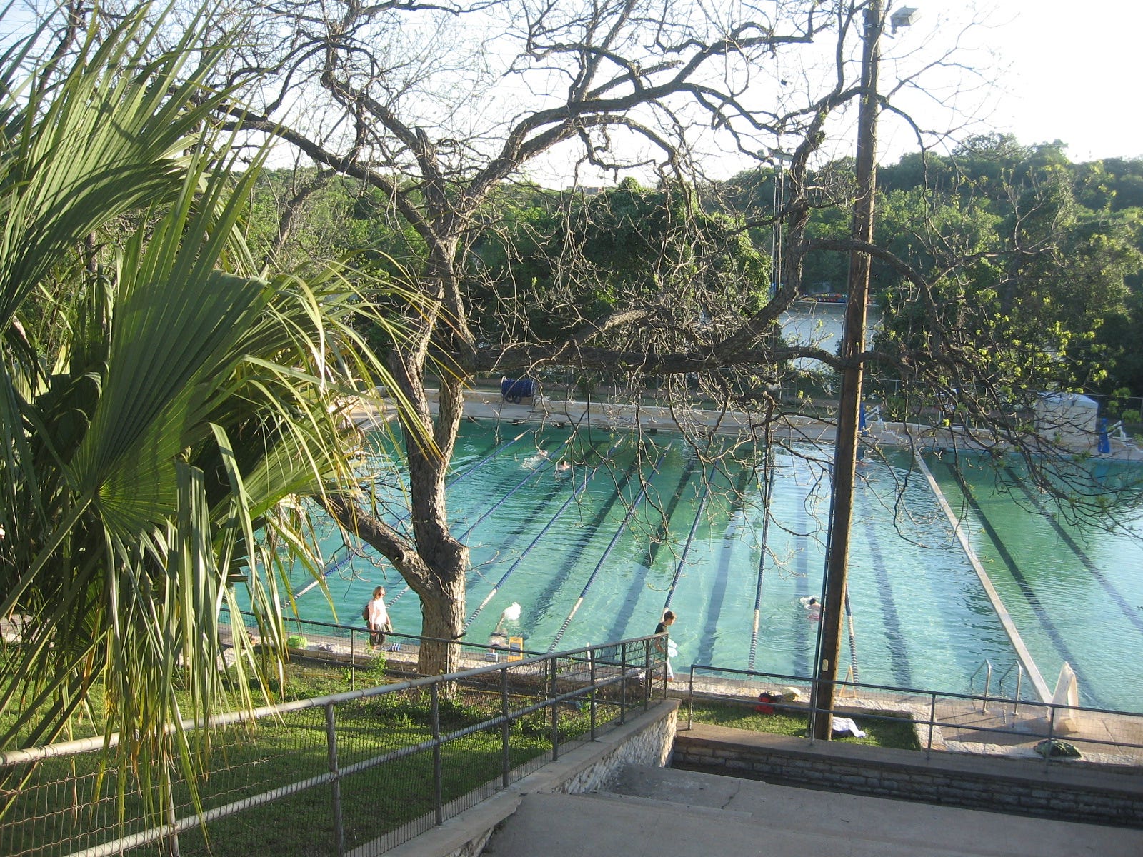 Hippie Haven - by Samuel Eagleton - The Black Bolshevik