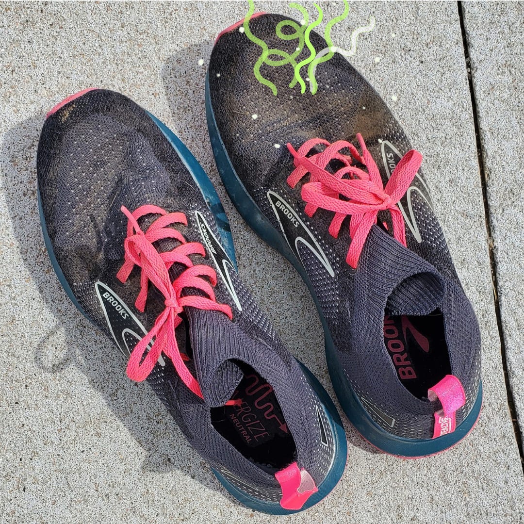 Where is that smell coming from? - by Darla Dwyer, DVM