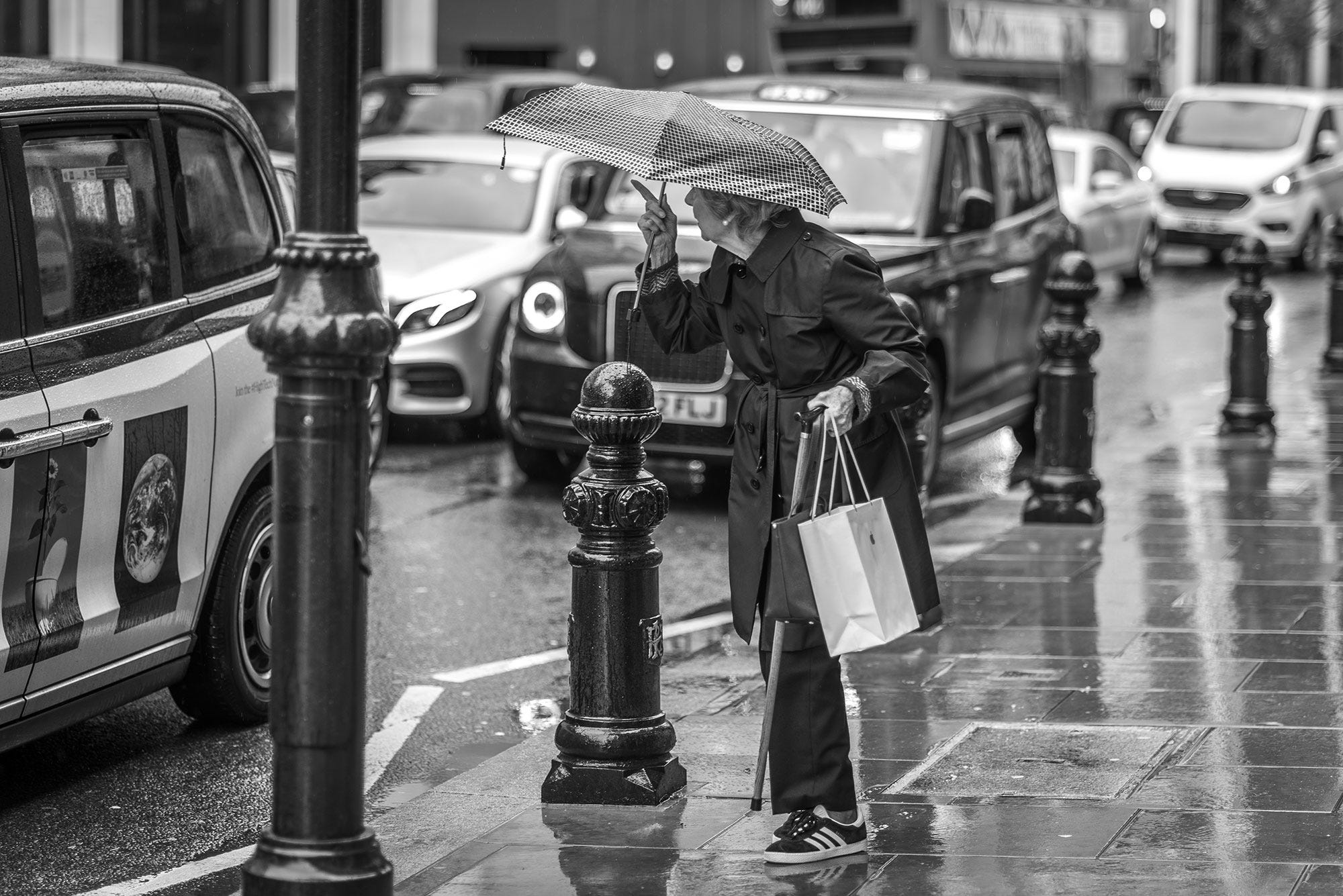 Sparkle - by Richard Partridge