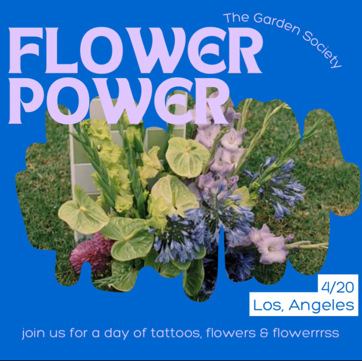 Okay, so Boom... | Elyse Fox | Substack