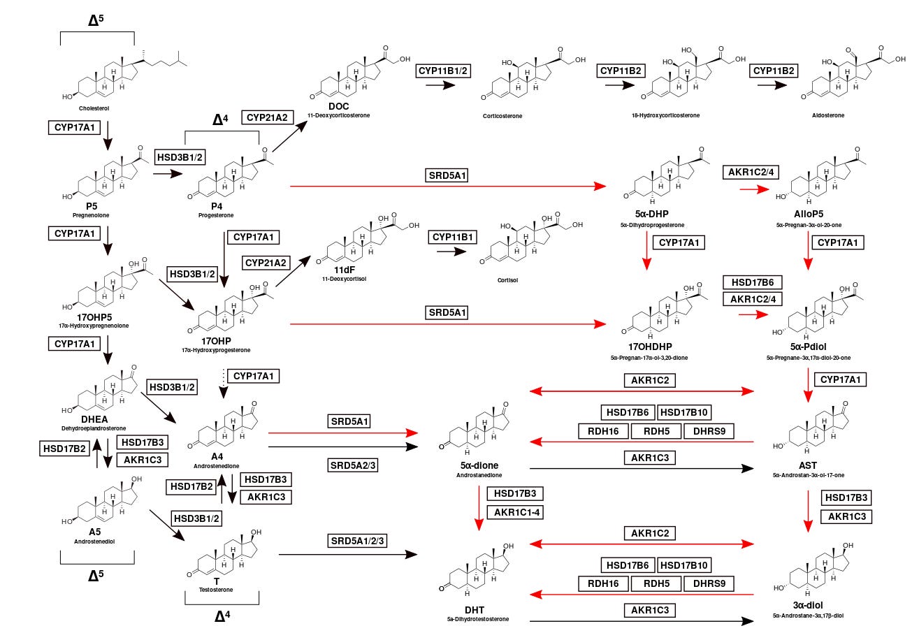The Hormone of Chads - [ULTIMATE Guide to DHT Optimization]