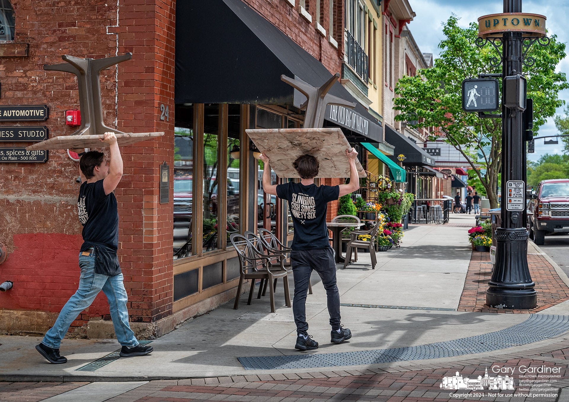 Time For A Chicken Run - by Gary Gardiner