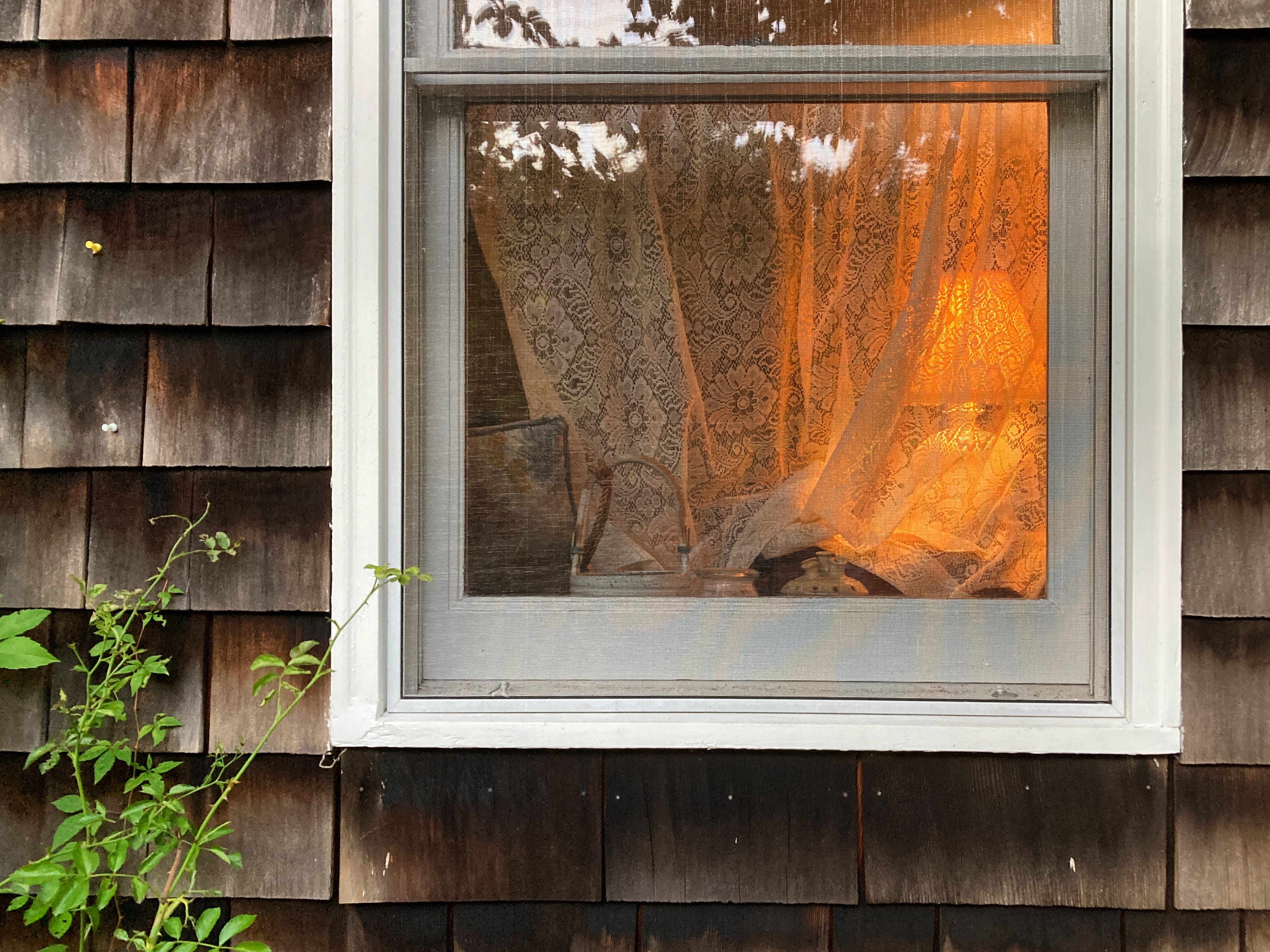 The Sickbed Gift - by Tonya Morton - Juke