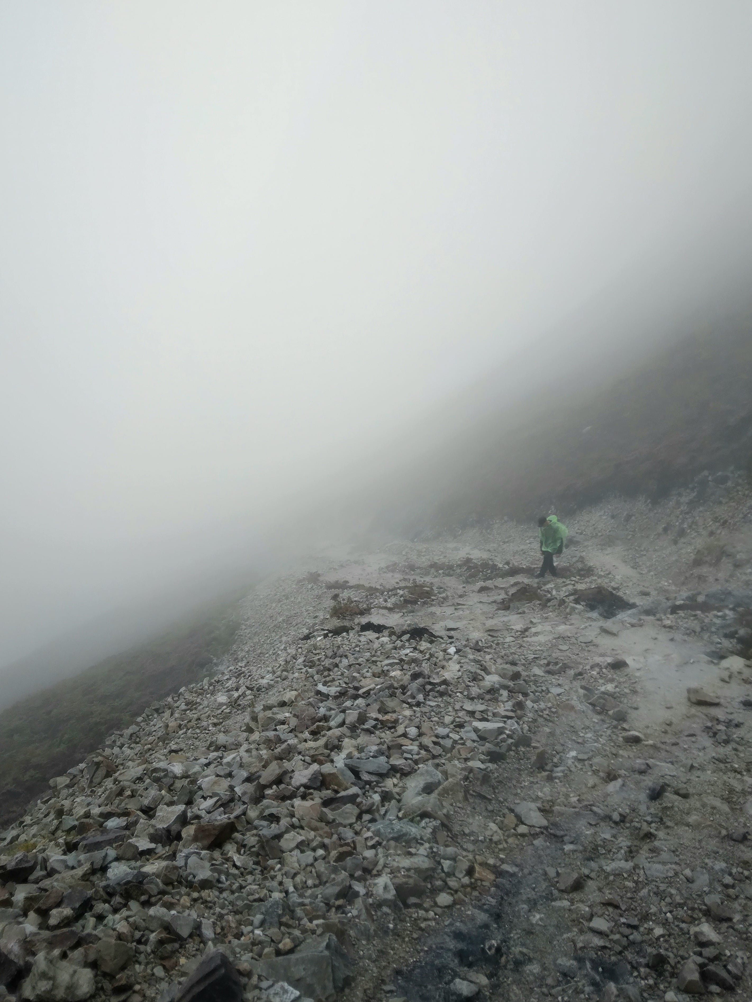 Cottage Academy: Freaks on The Reek - Louise Roseingrave