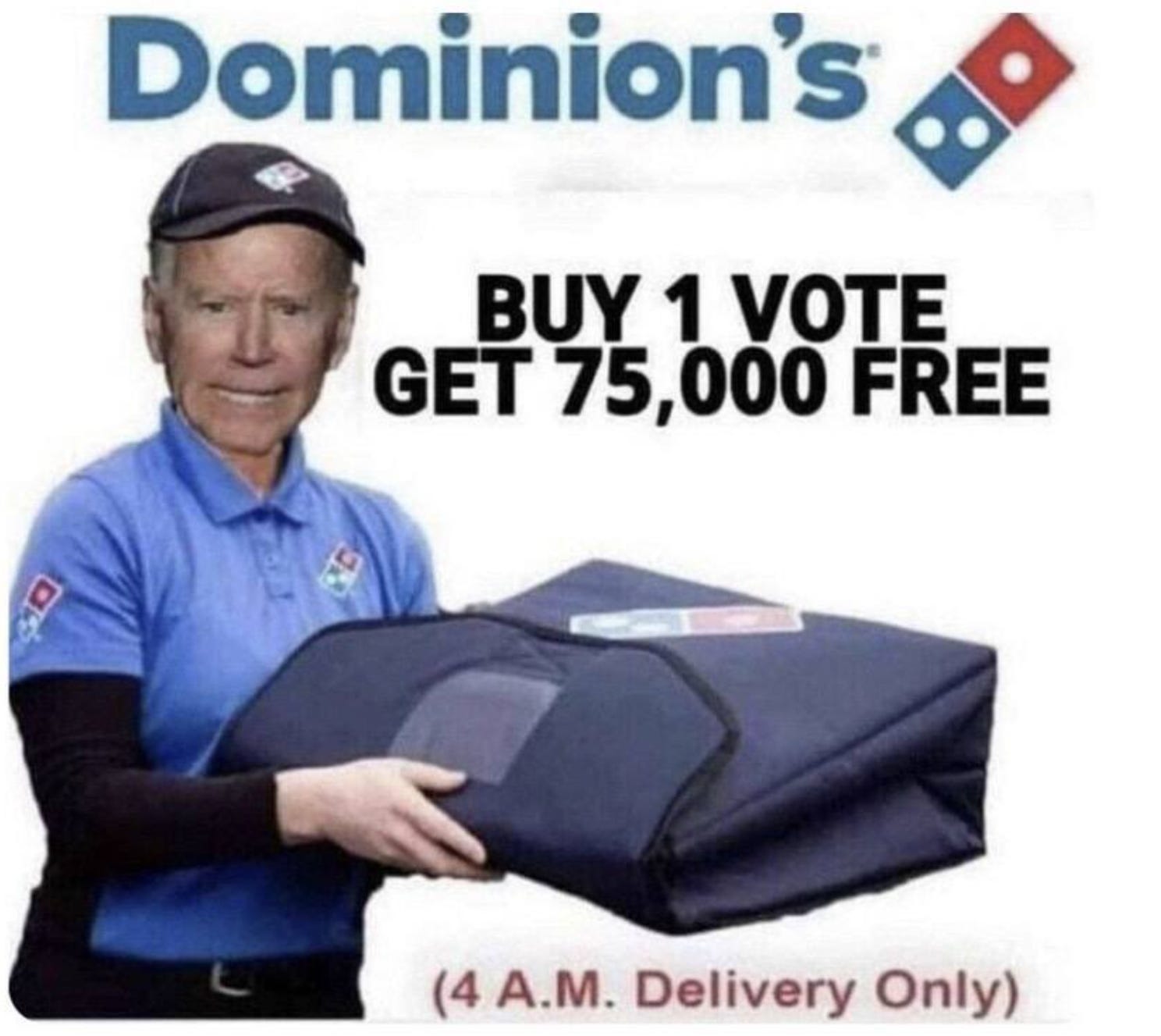 Safest Most Secure Election in History My Ass