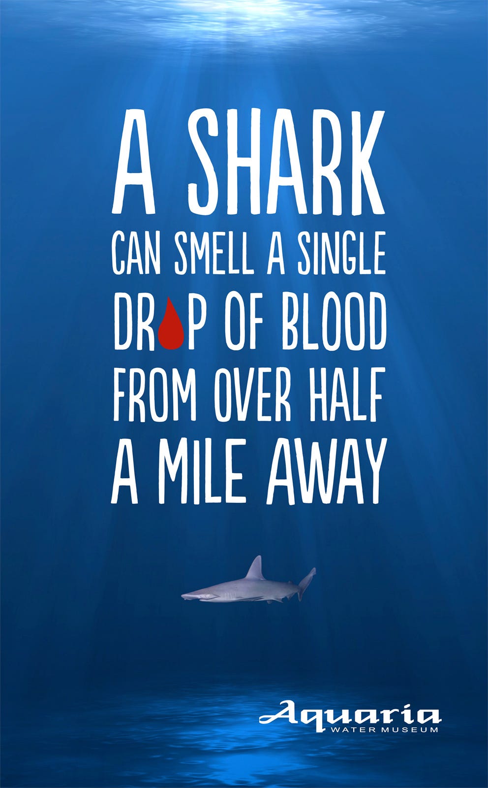 Only The Coolest Shark Ads (Updated)