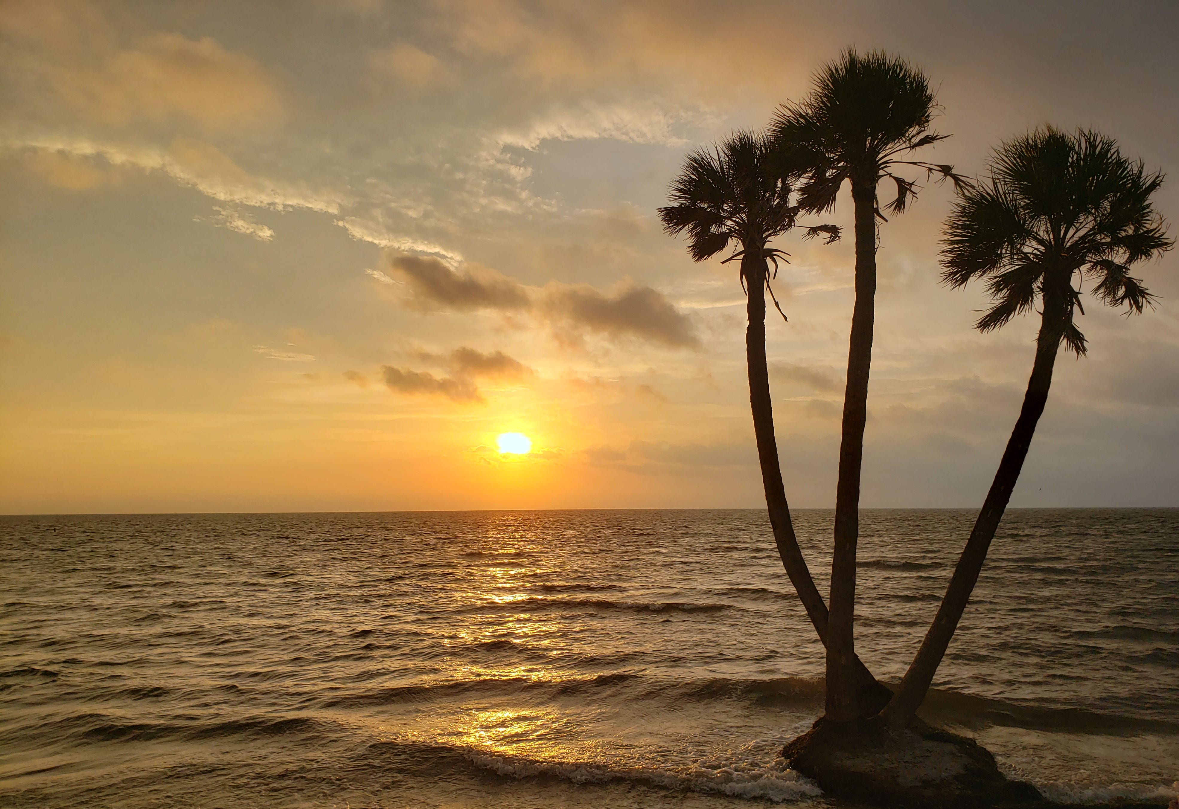 Gratitude - Peter Daou