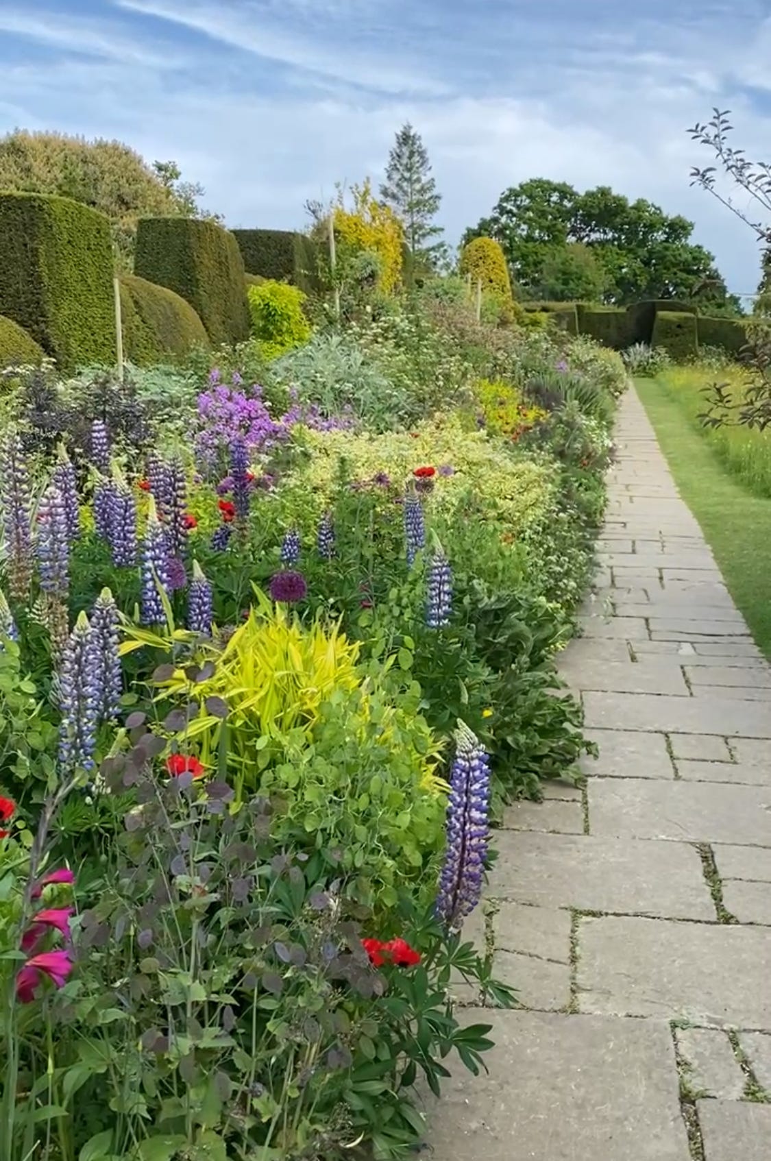 Gardener: Leslie Harris - Julie Witmer Gardens Newsletter