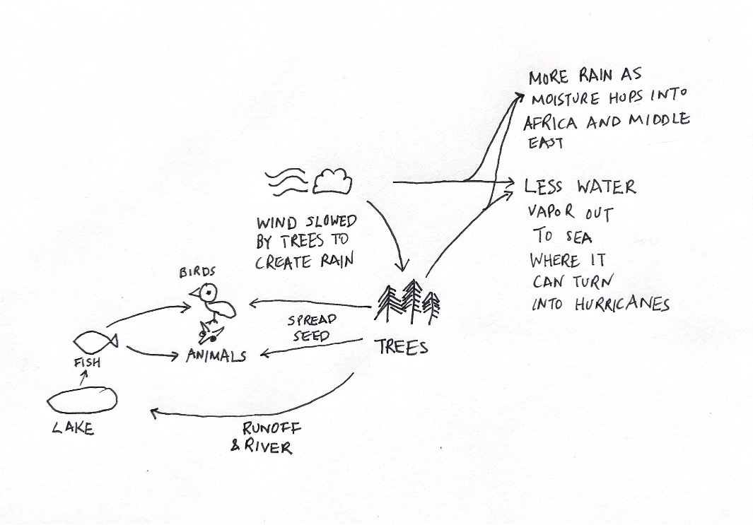 Web of water - by Alpha Lo - Climate Water Project