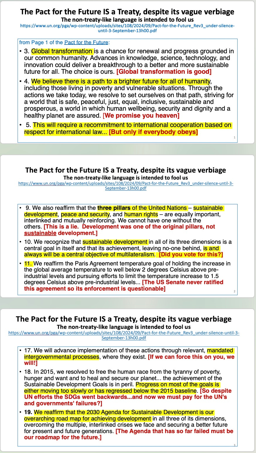 37 statements from the Pact for the Future with my deconstruction, in ...