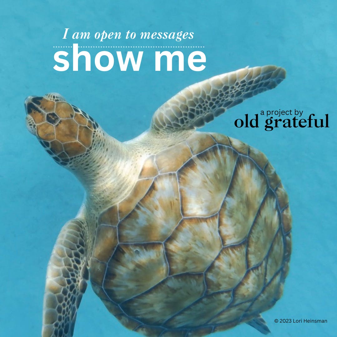 are you open to messages? - by Lori Heinsman - old grateful