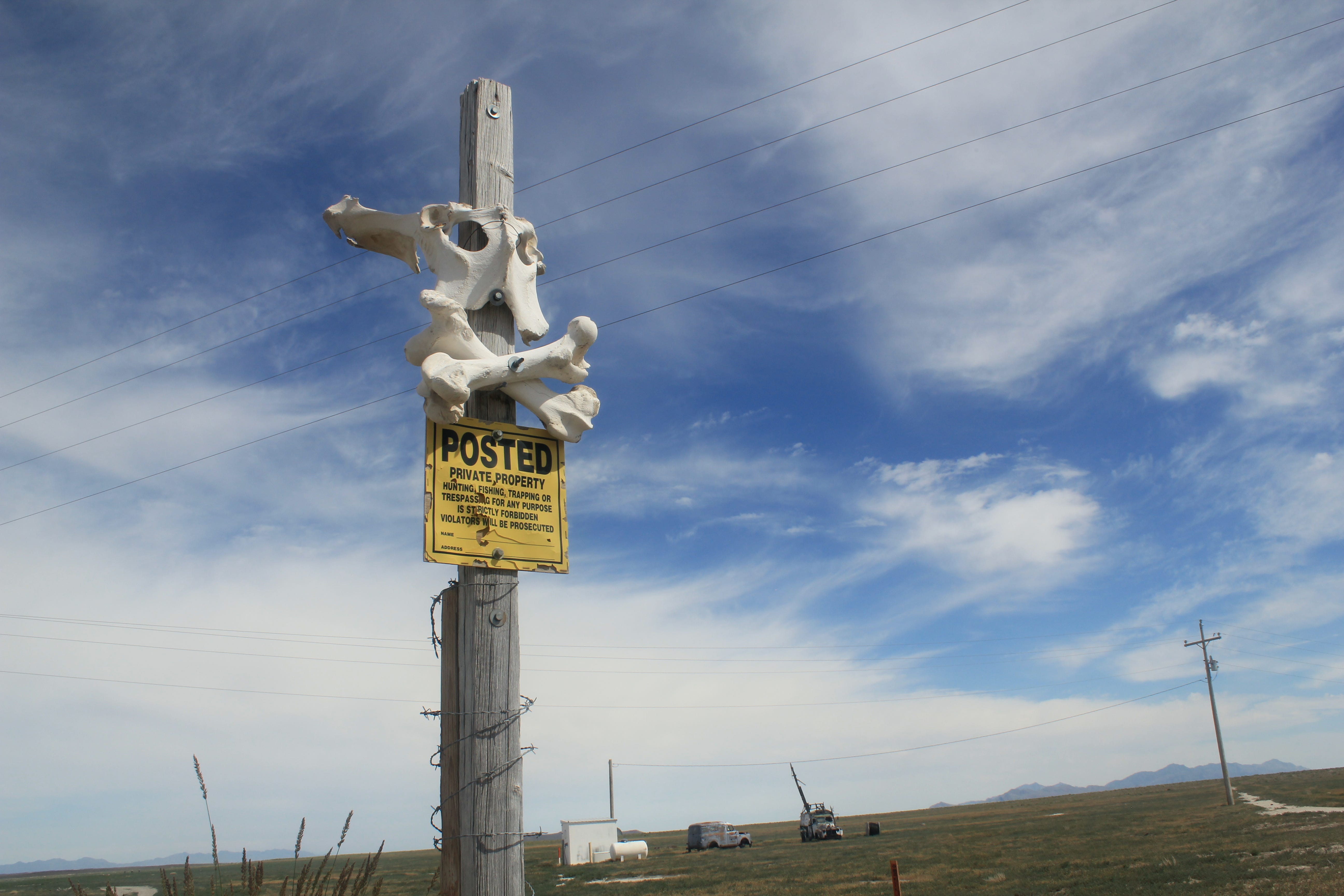 How an Aviating Loner in a Ghost Town Helped Me Rediscover Freedom