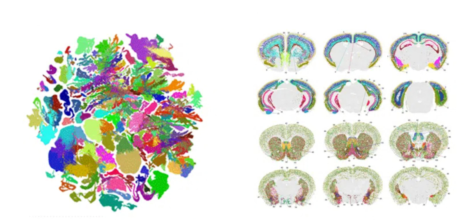 Landscape of Sequencing-based Spatial RNA Technology: Part I