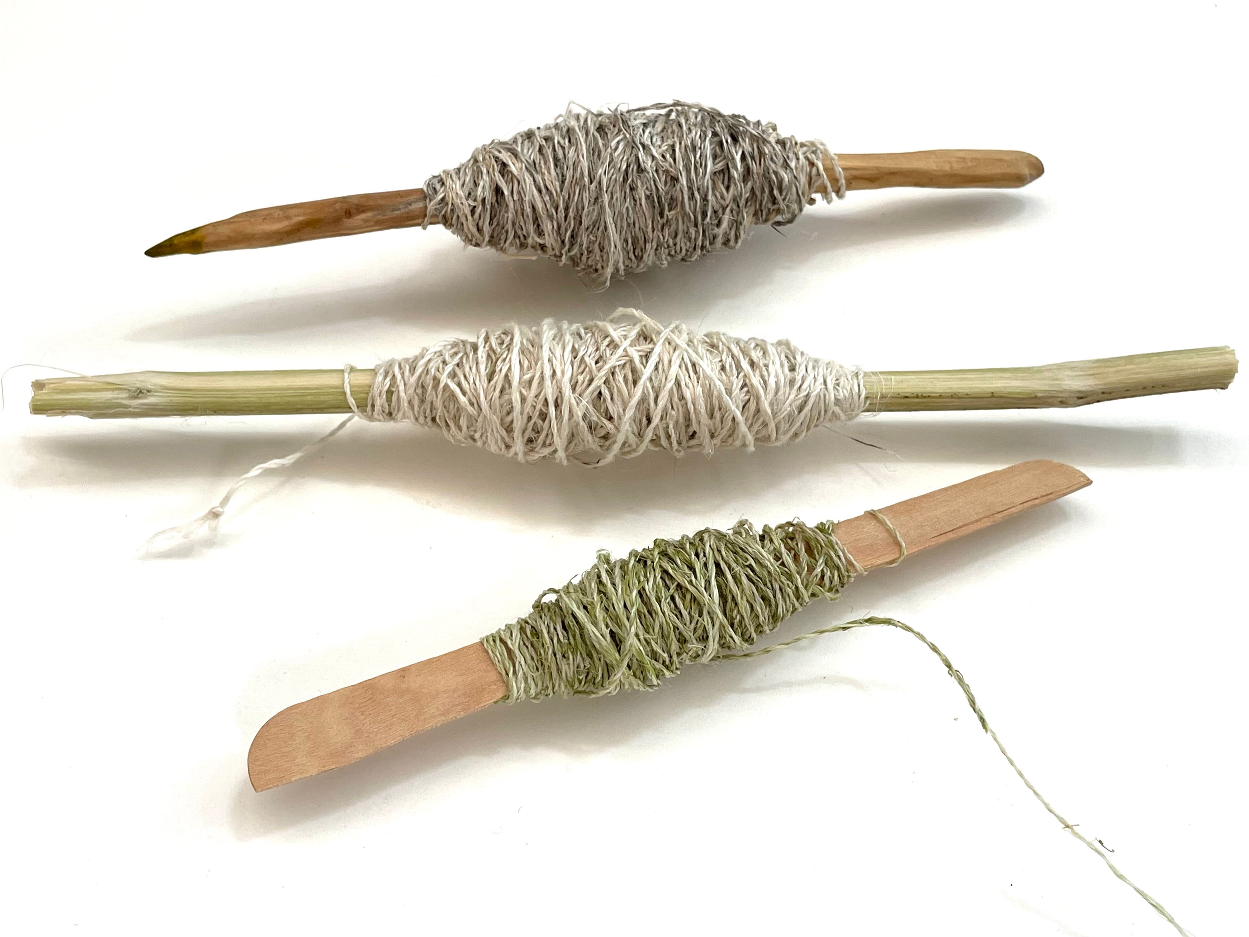 milkweed lessons - by Sarah C Swett - The Gusset