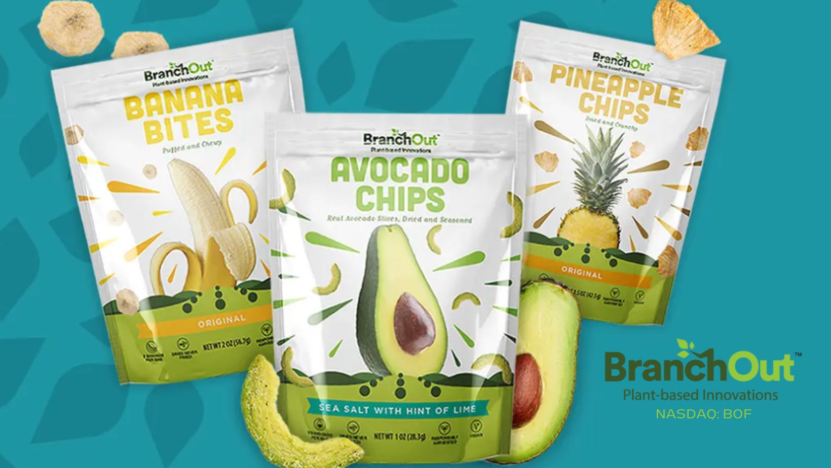 BranchOut Food Engages PCG Advisory to Expand Investment Outreach