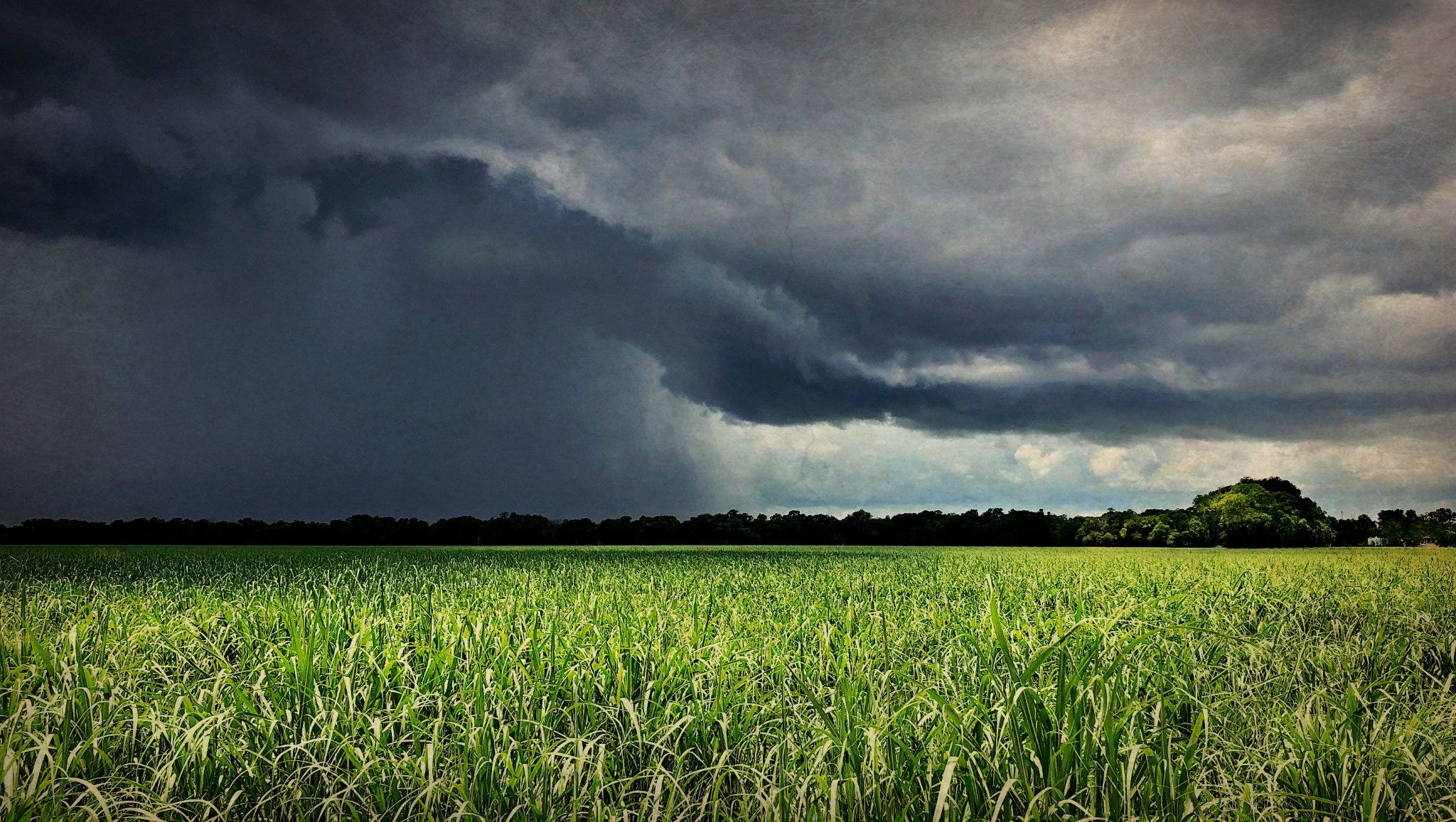 Sun and Shadow - Southern Voice