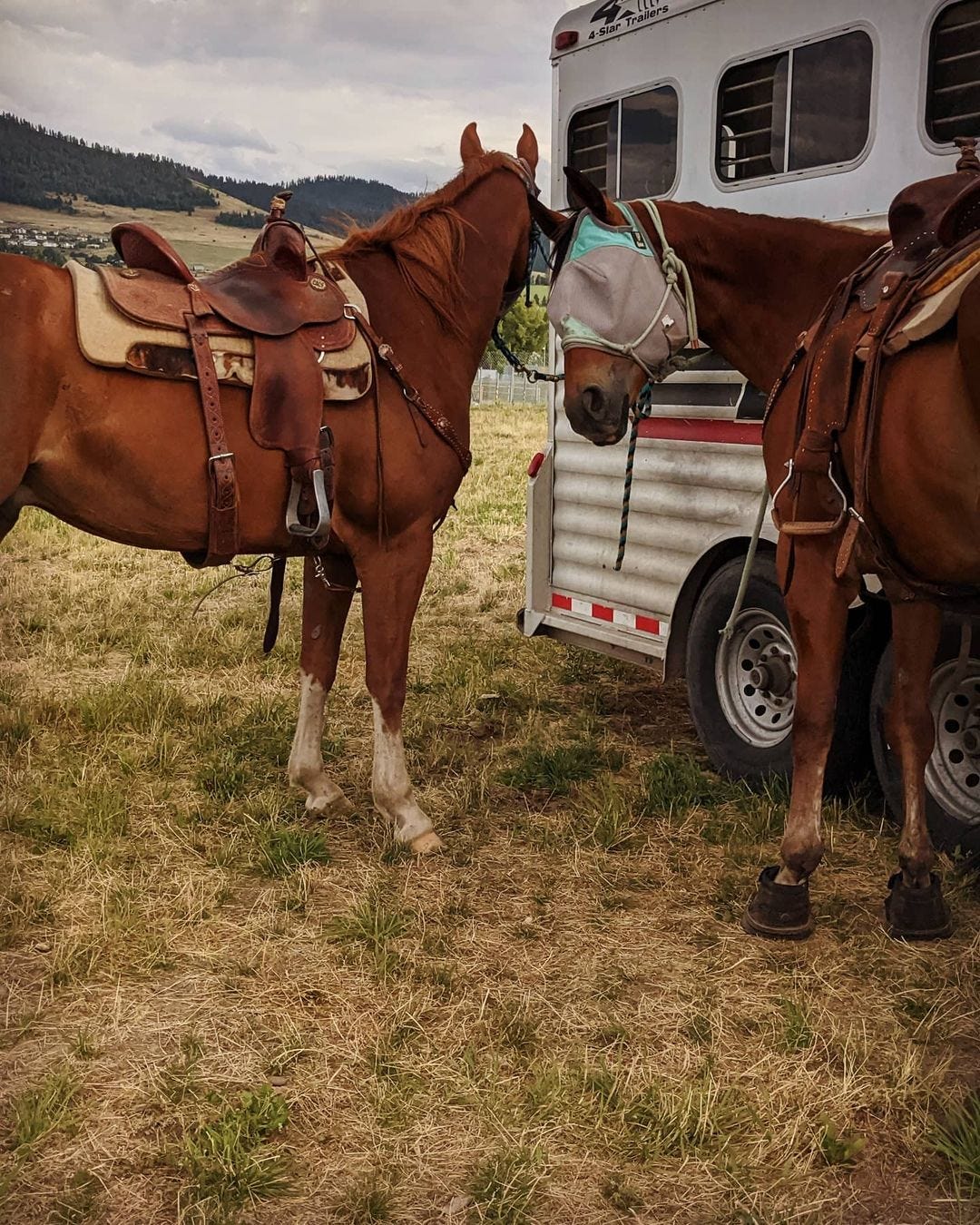 Red Hawk Essentials #19 - by Tim Welch