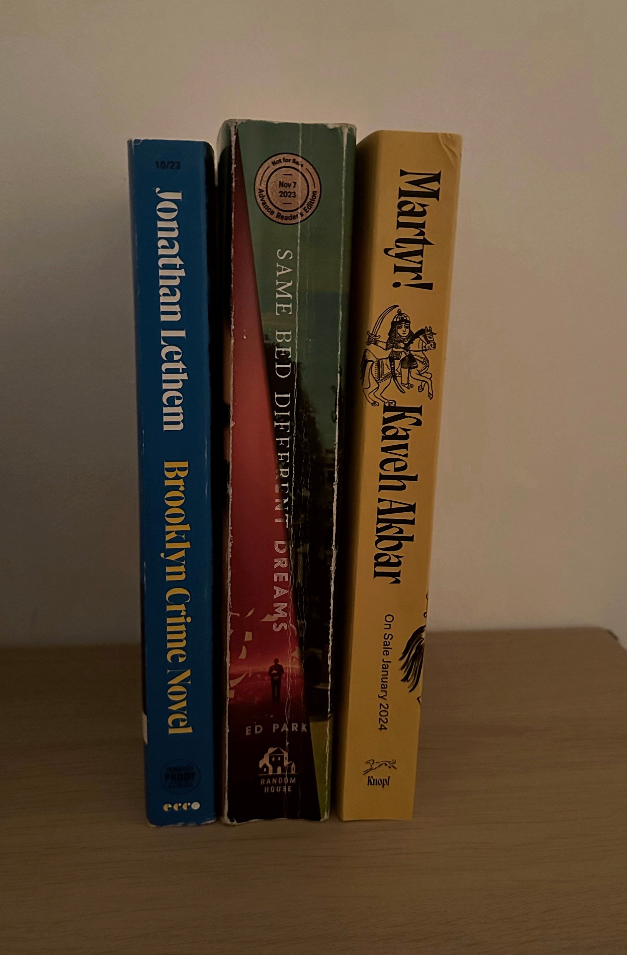 Activity Report: On Ed Park's new novel, Same Bed Different Dreams.