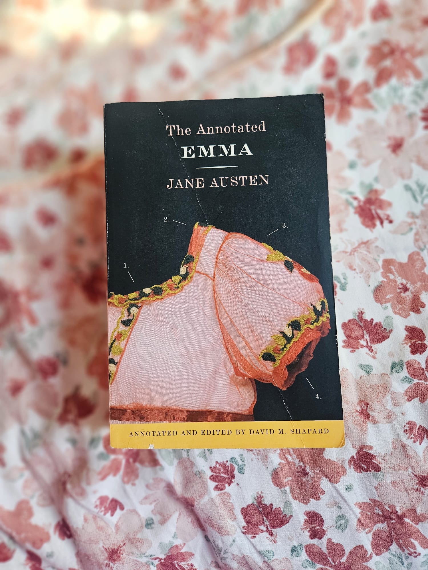 Get ready for EMMA in Spring - by Chelsey & Sara