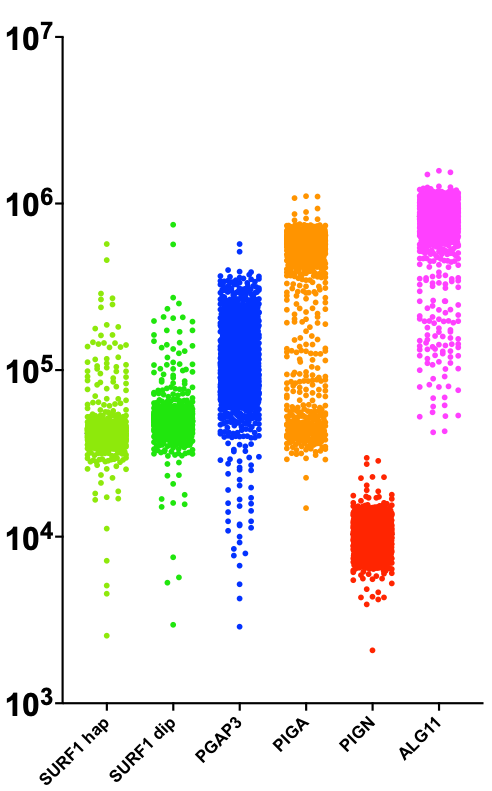 Two nutraceuticals are the top drug repurposing hits for ALG11-CDG