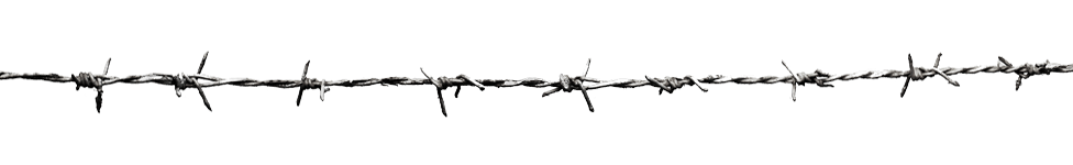 LONG READ - Prison, war and revenge killing: the inside story of the ...