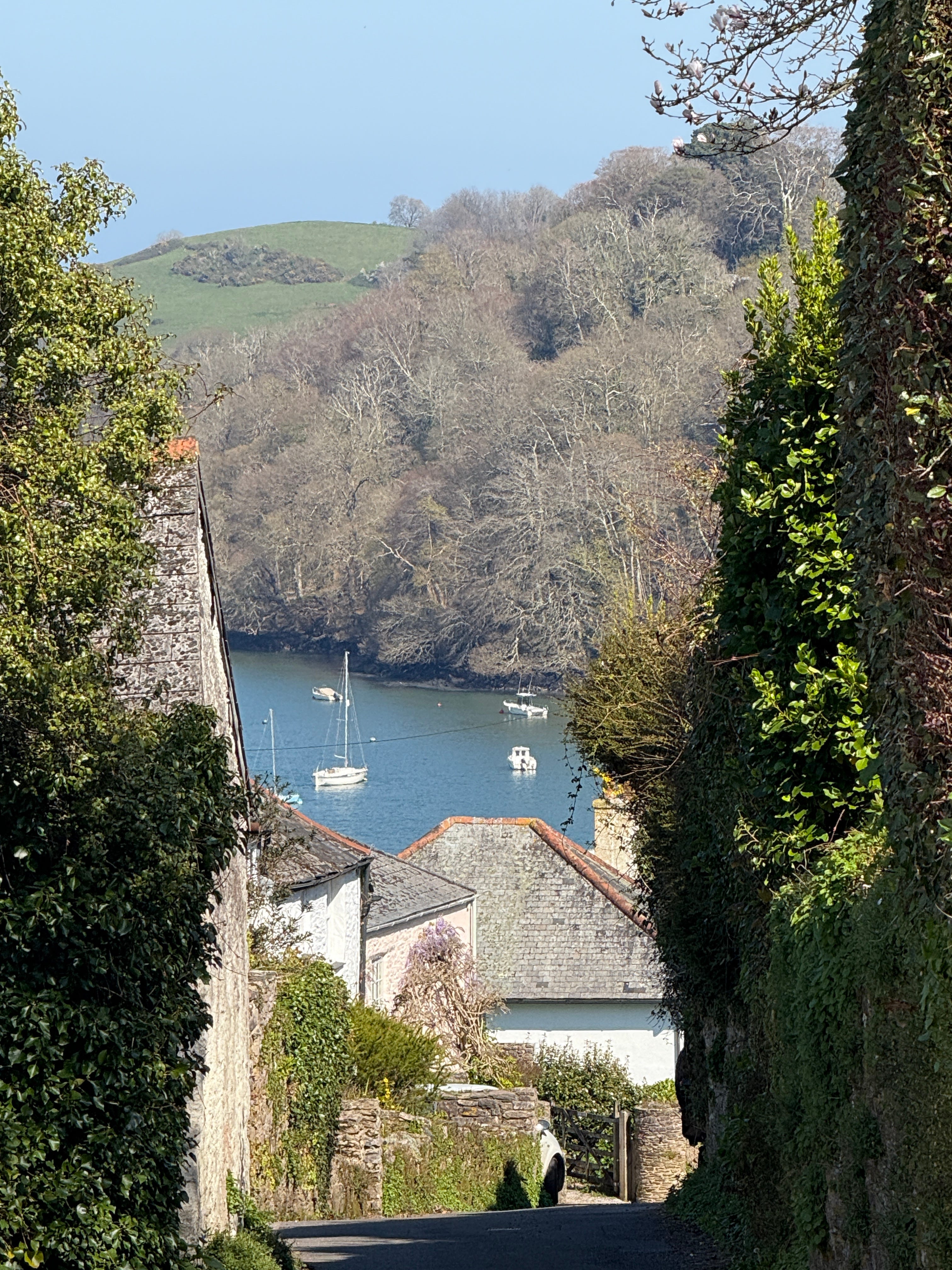 Our Family Holiday in Devon: Rated and Reviewed