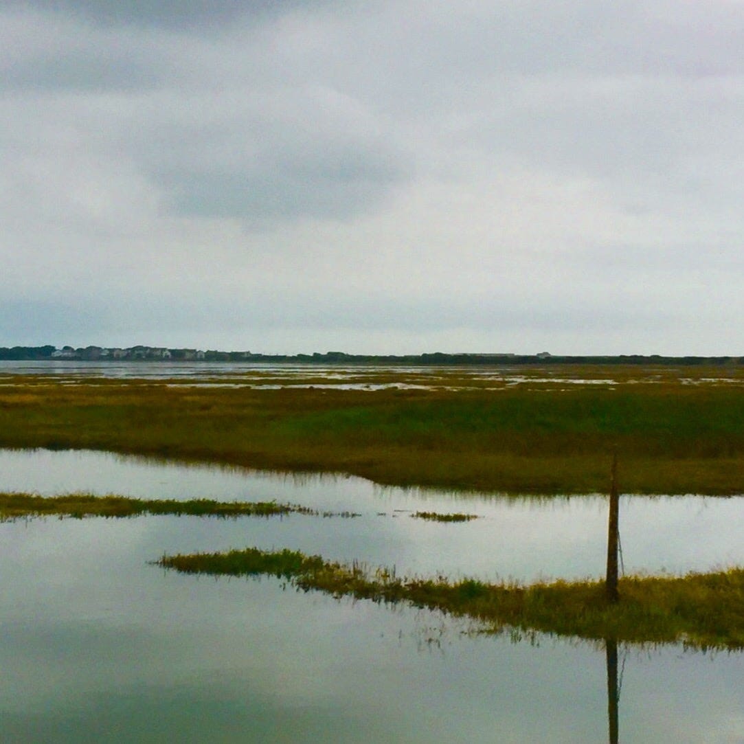 The Debatable Land | Substack