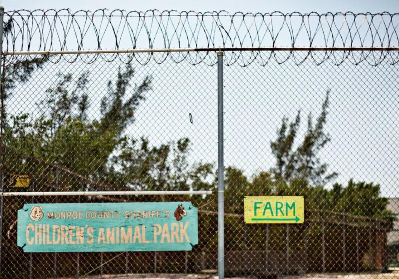 Inside an Exotic Zoo—In a Florida Jail - by Kim Raff