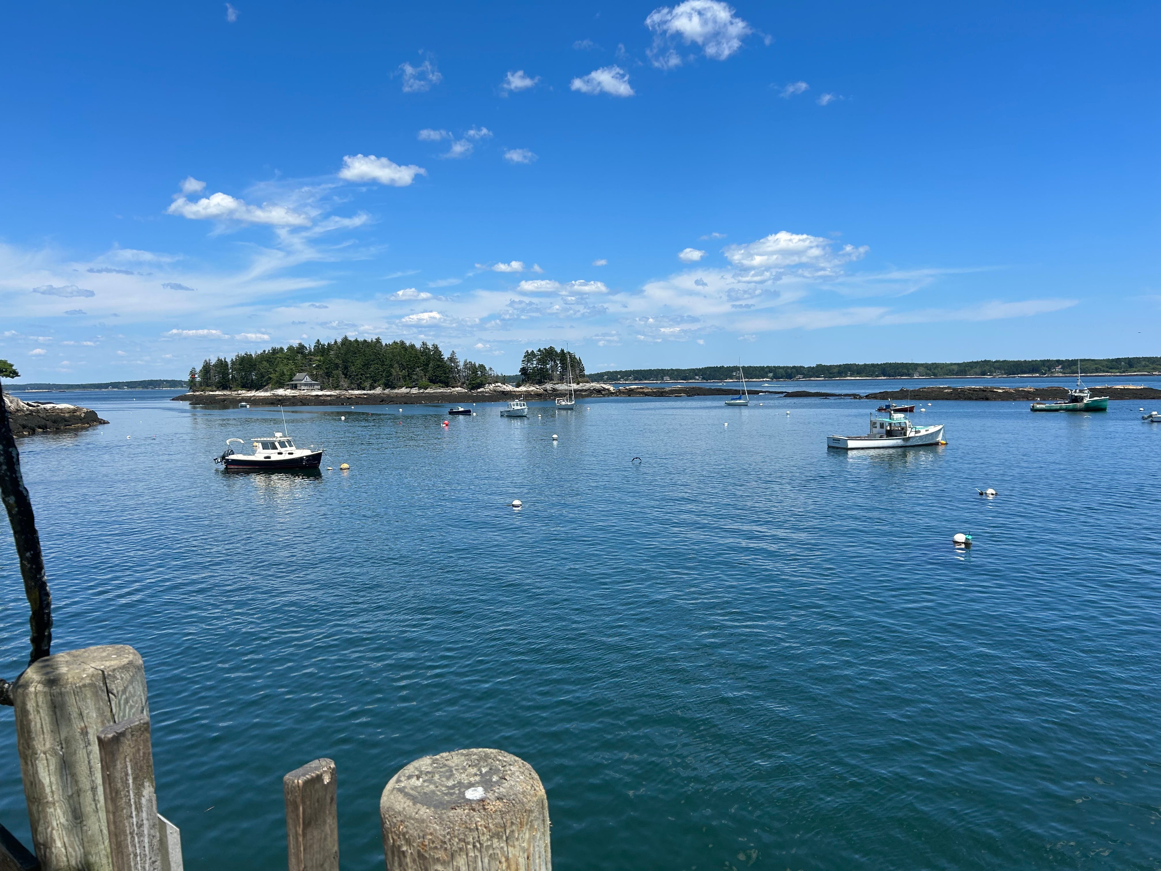 Time at Home - by Lynn Cole - Lynn’s Substack