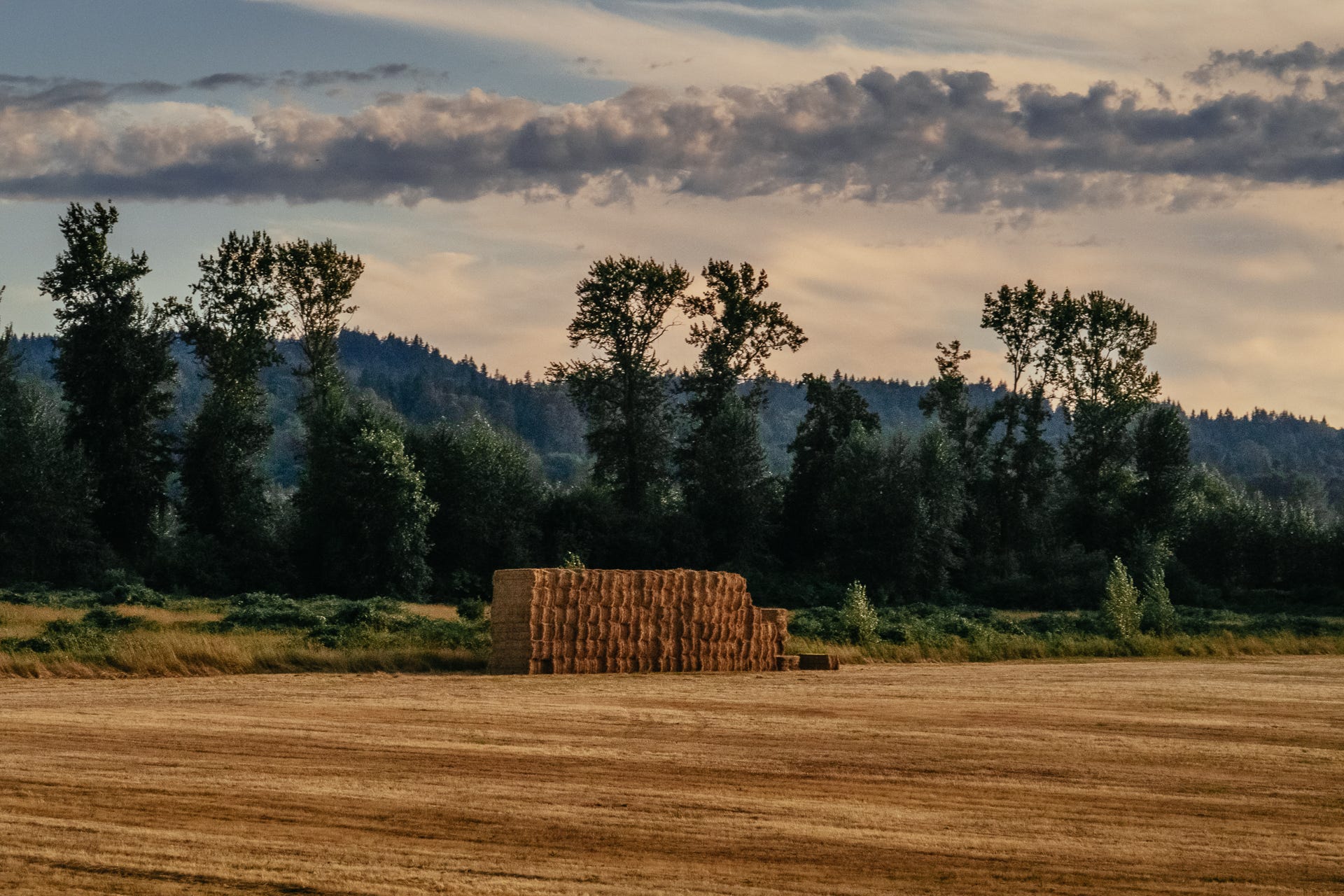 My 10 Favorite Photos of 2023 - by J L Photo - JL Photo