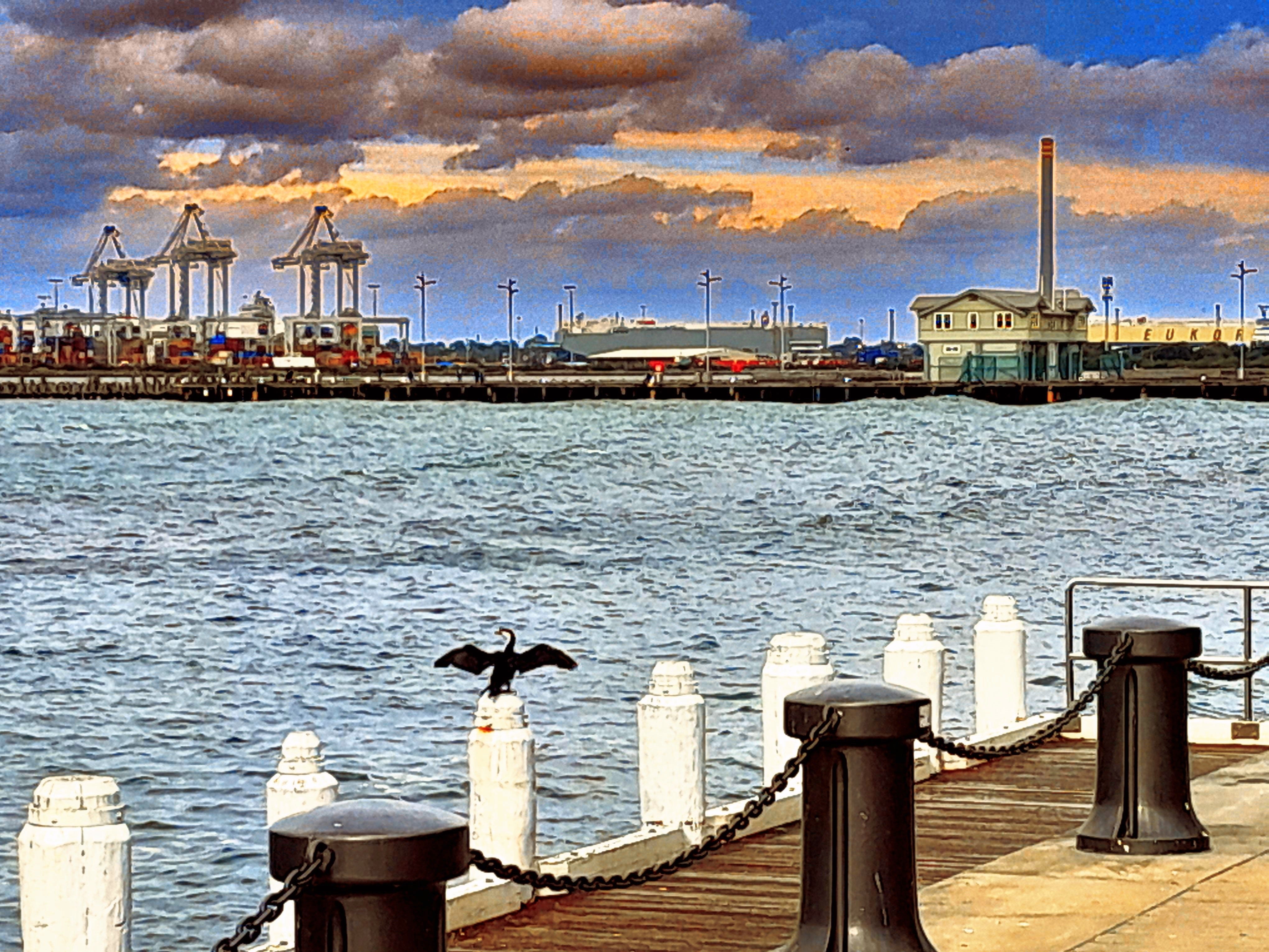 Batbird - by Rose Marie Szulc - Rose Marie's Substack