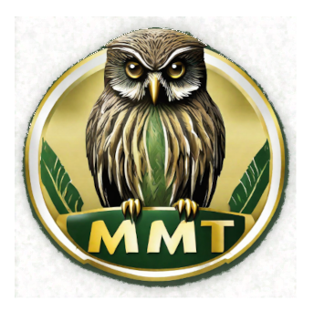 Darren Quinn | Substack