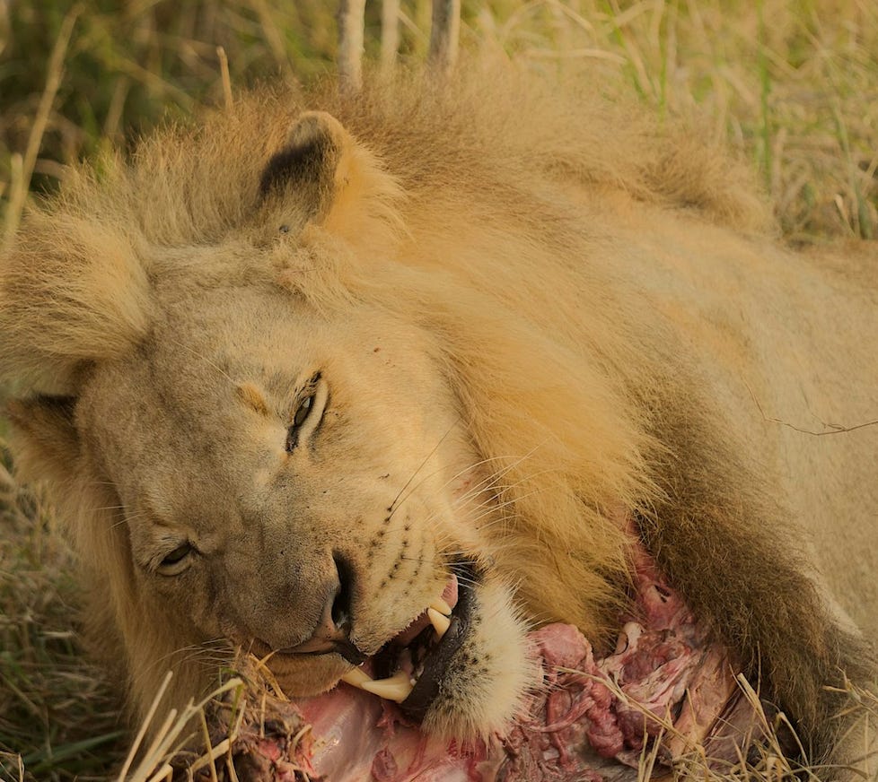 1.8 Sport Enables Happiness - by Ronald Ead - JawHacks