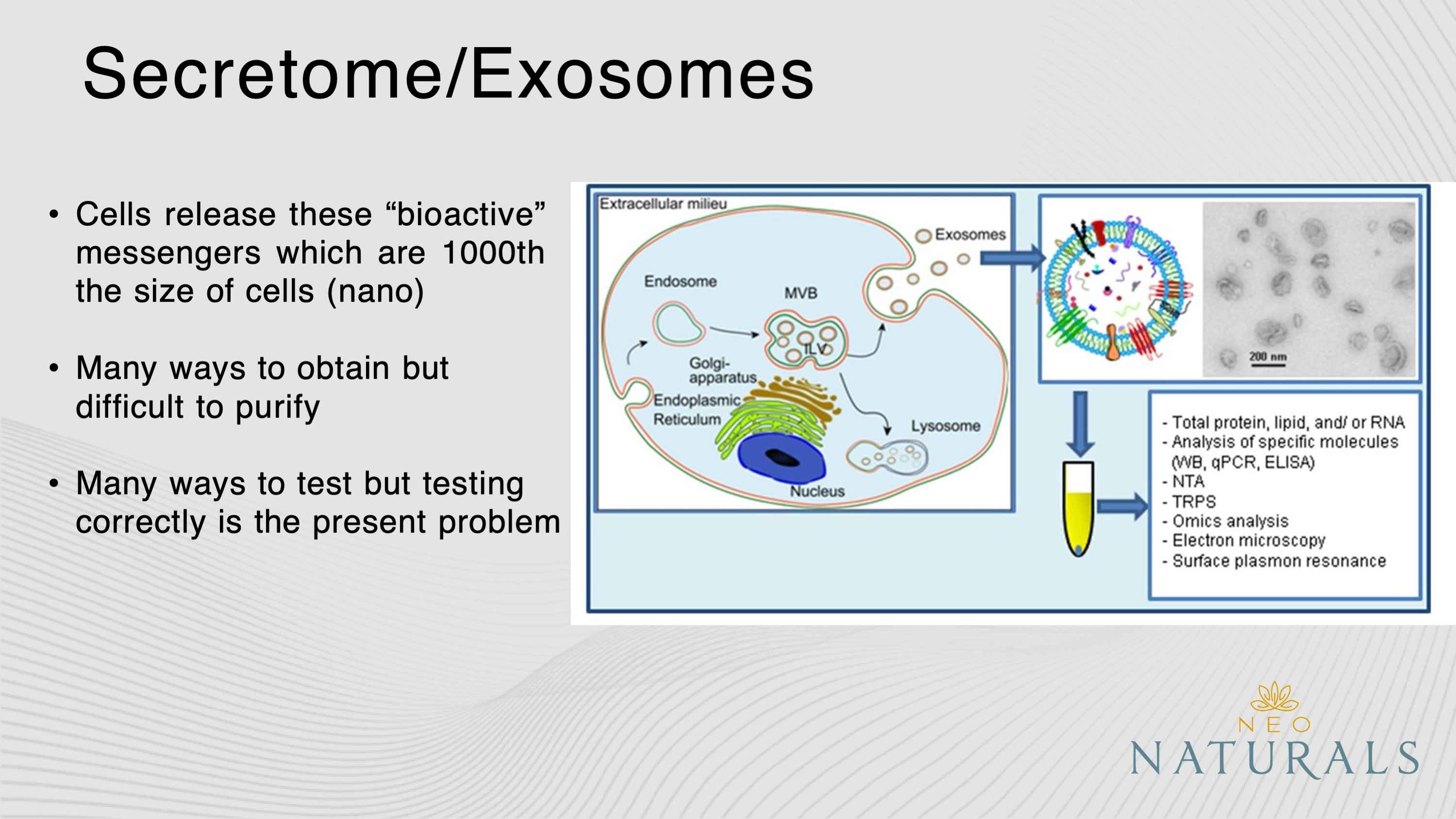 NEO Naturals Exosomes for Cosmetic Gynecology and Aesthetics