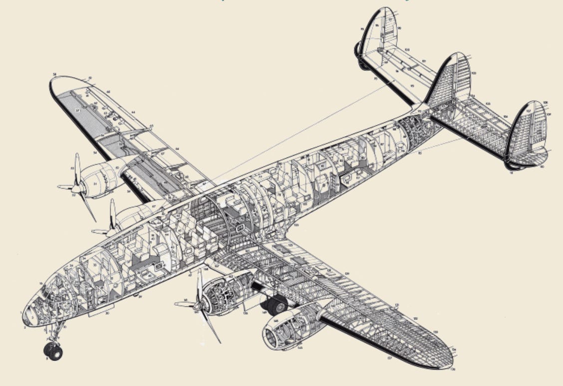 Wings of Possibility: - by Todd Burleson