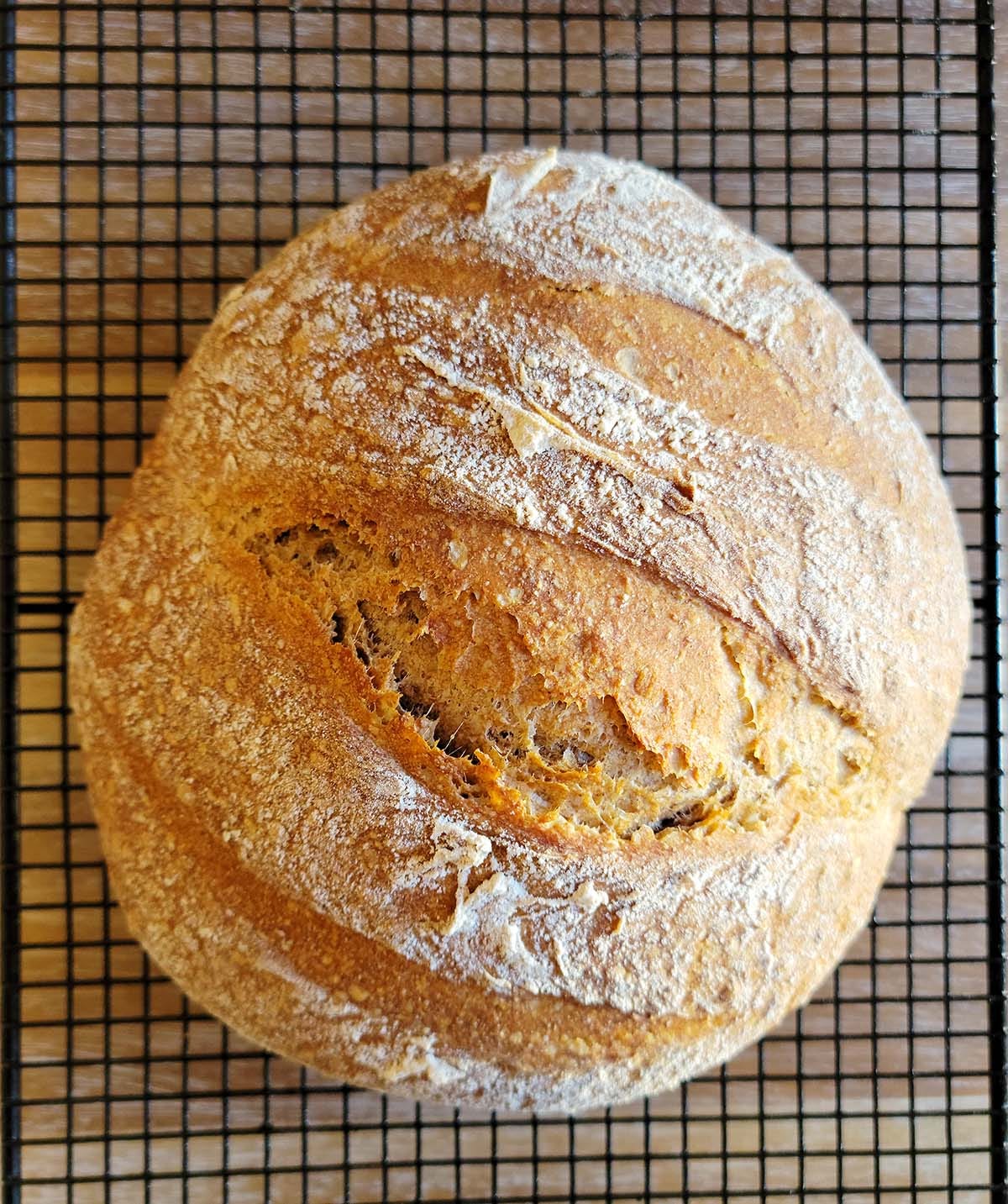 Baking Bread, Breaking Bread - by Hank Shaw - To The Bone