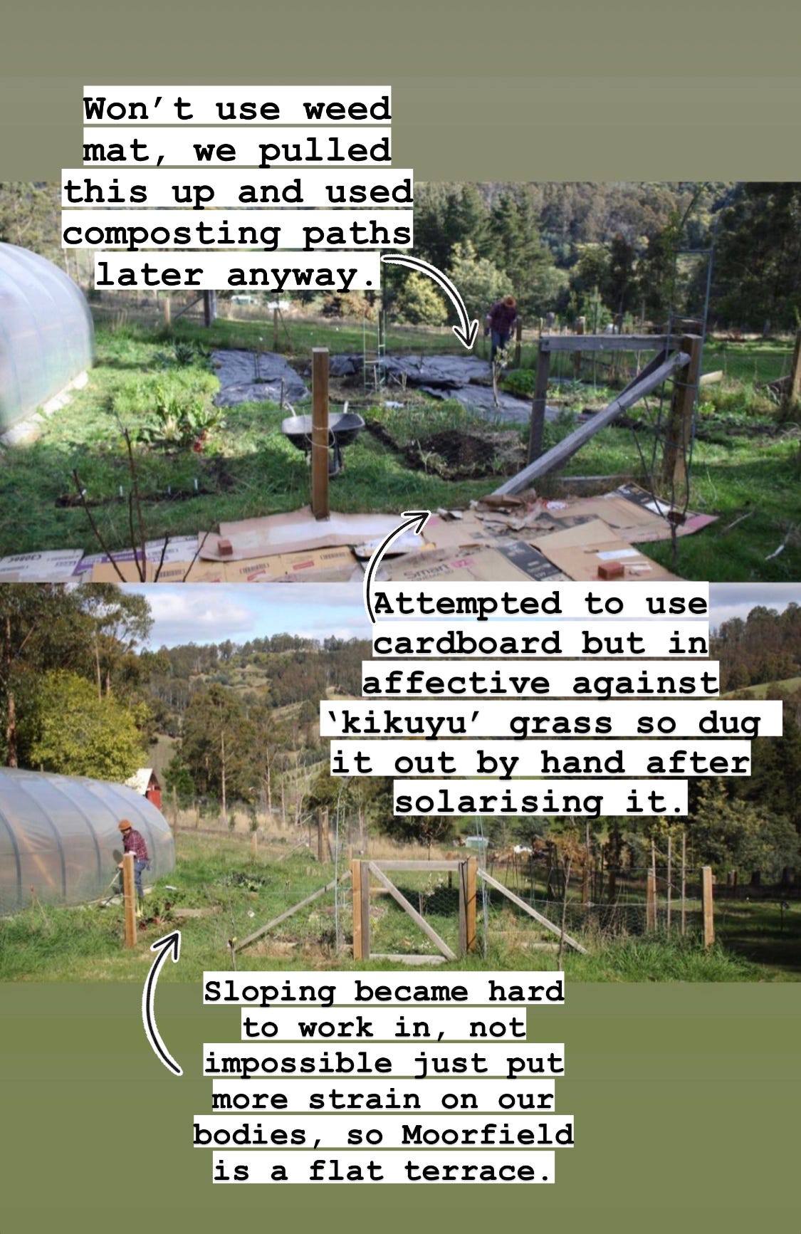 The Productive Garden Guide: Part 1