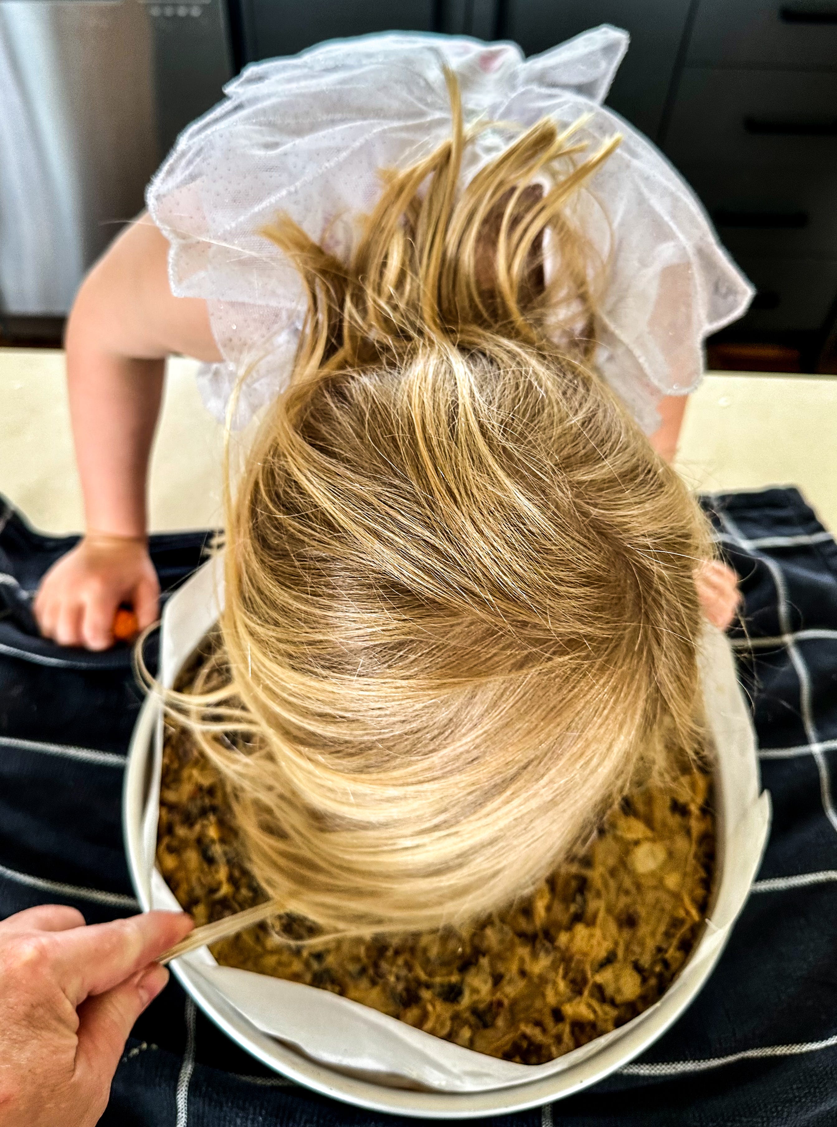 Nessie's Great Great Grandmother Shar's Christmas Cake (and her story).