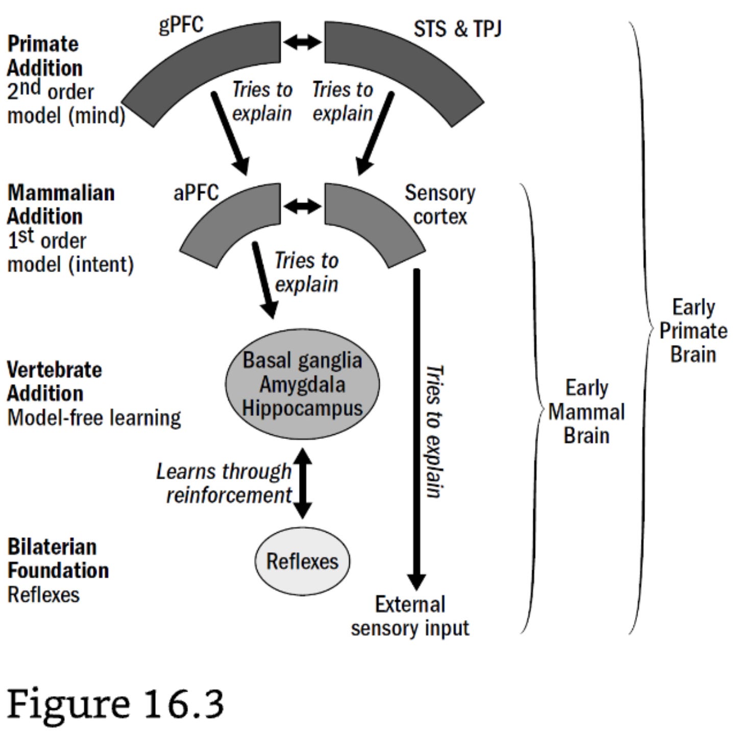 An end-of-year look at theories of everything