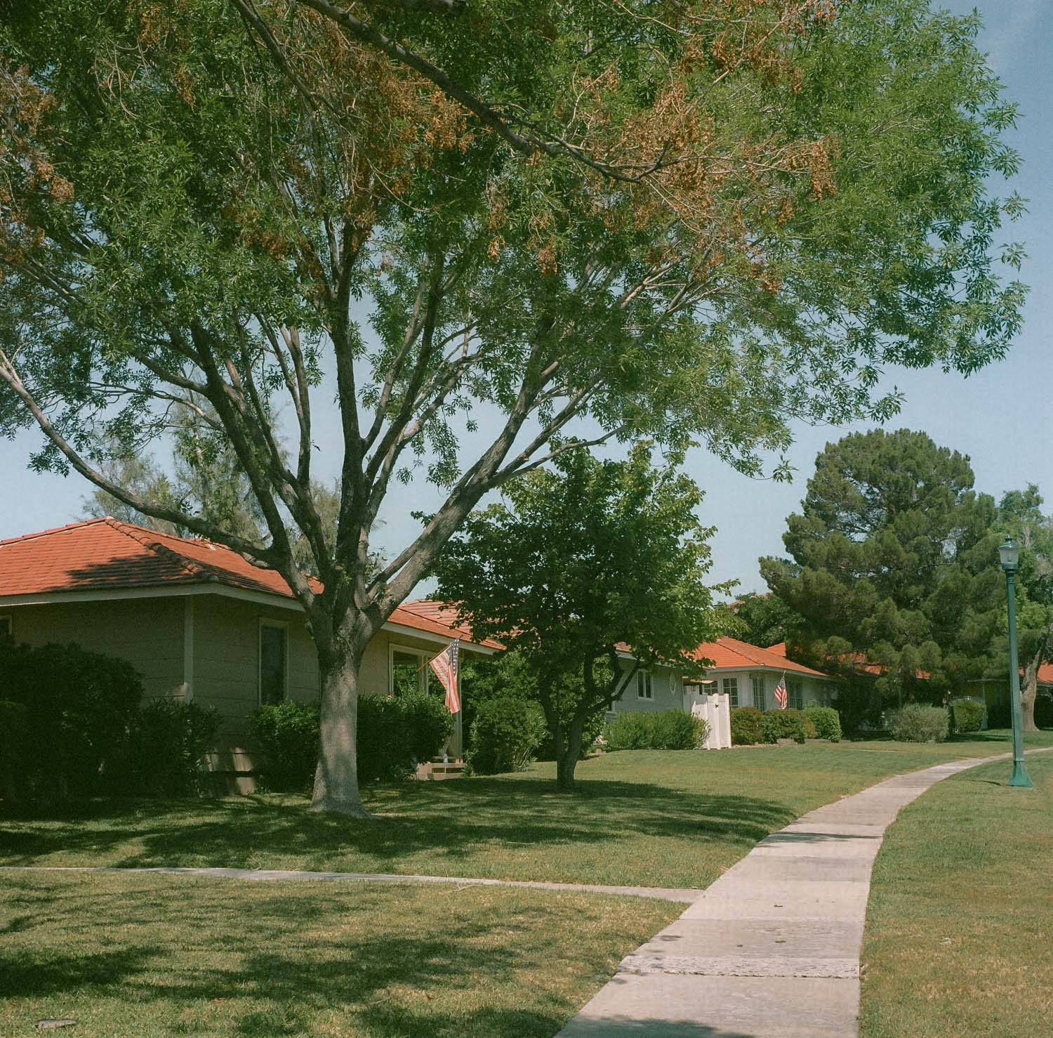 It's getting dark outside.. - by John Colson - Meadowfield