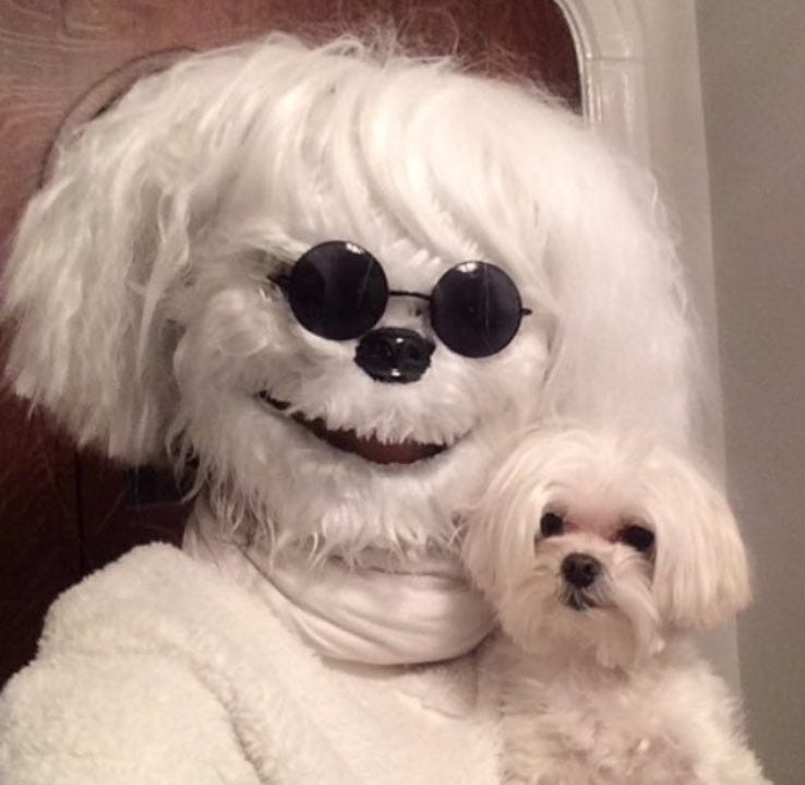 Annabel Meschke | Substack