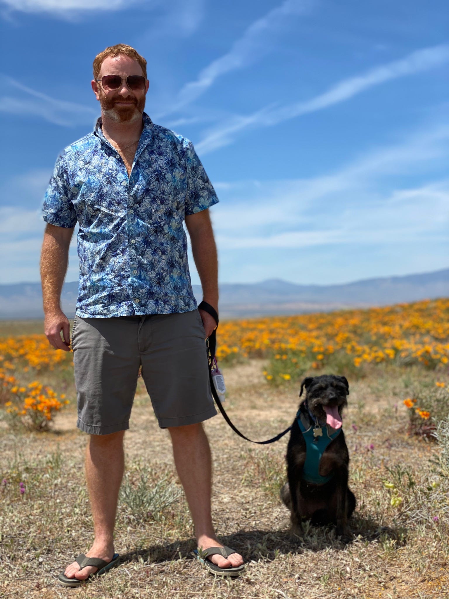 Perspectives, Probabilities & Polemics - by Stuart Loren