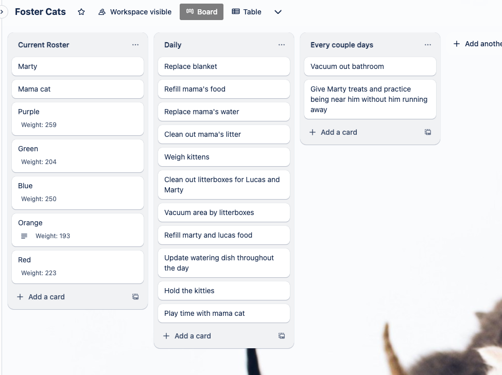 Trello hack is fake news, but automation magic is real 🪄