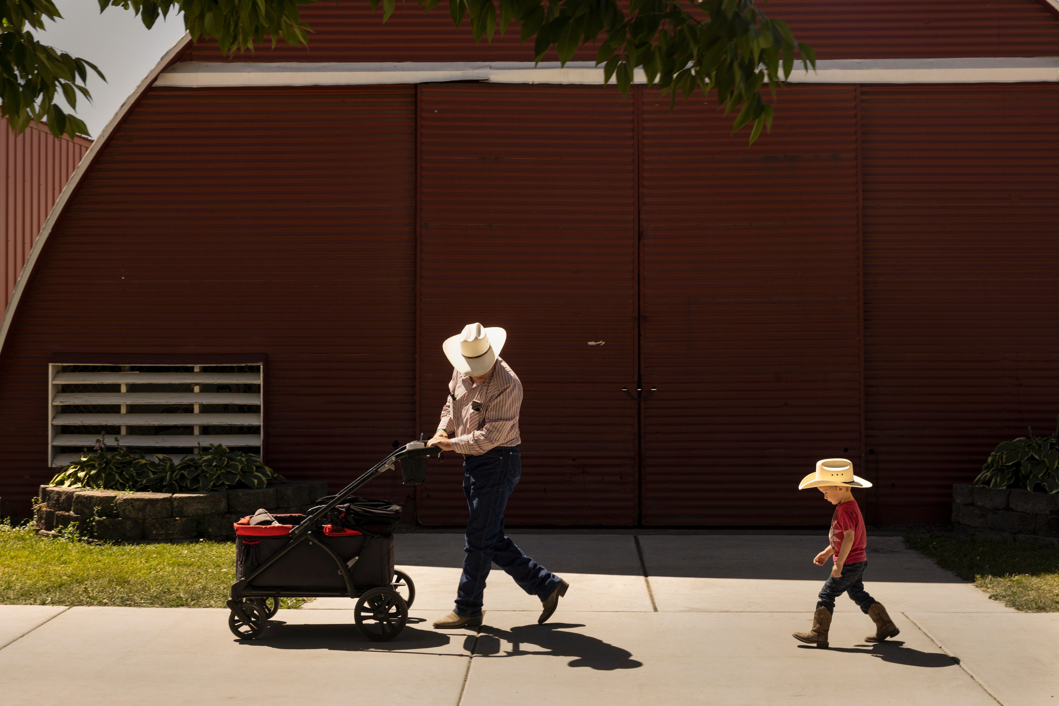 The New American Homesteaders - by Olivia Reingold
