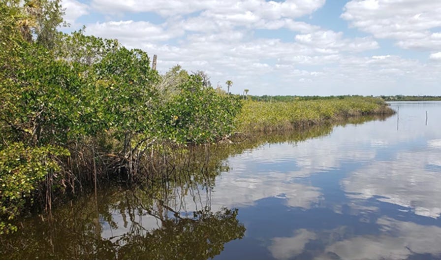 5 must-read stories in Manatee County this week