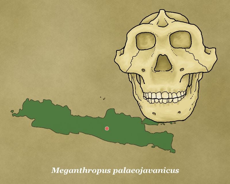 Southeast Asia: 1.8 million years of human prehistory (Part 2)