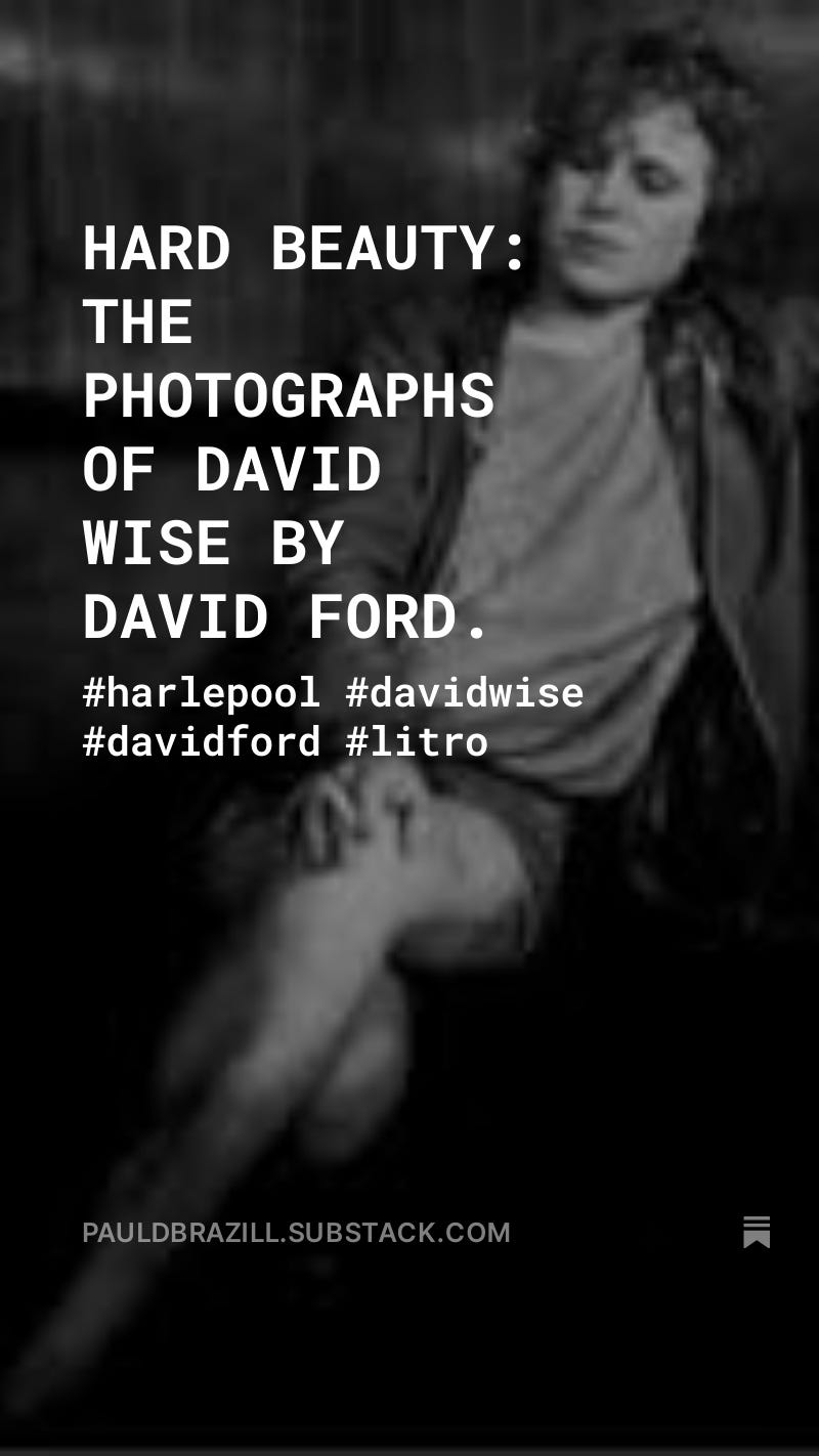 HARD BEAUTY: THE PHOTOGRAPHS OF DAVID WISE BY DAVID FORD.