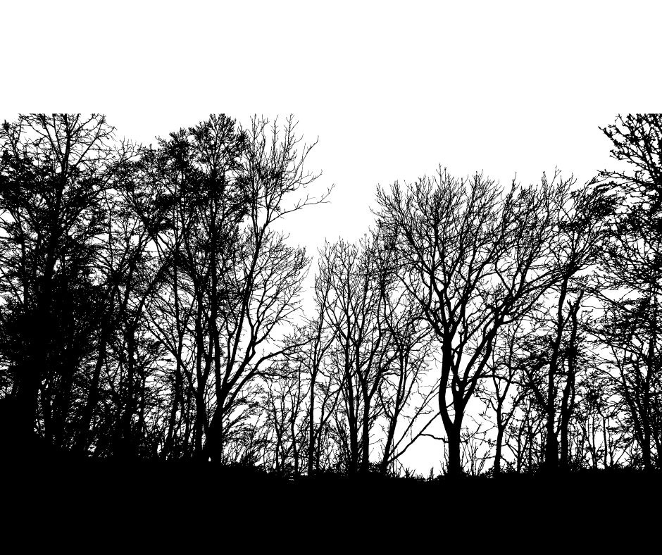 Ne le montre pas - by Anne Genest - Le dénuement